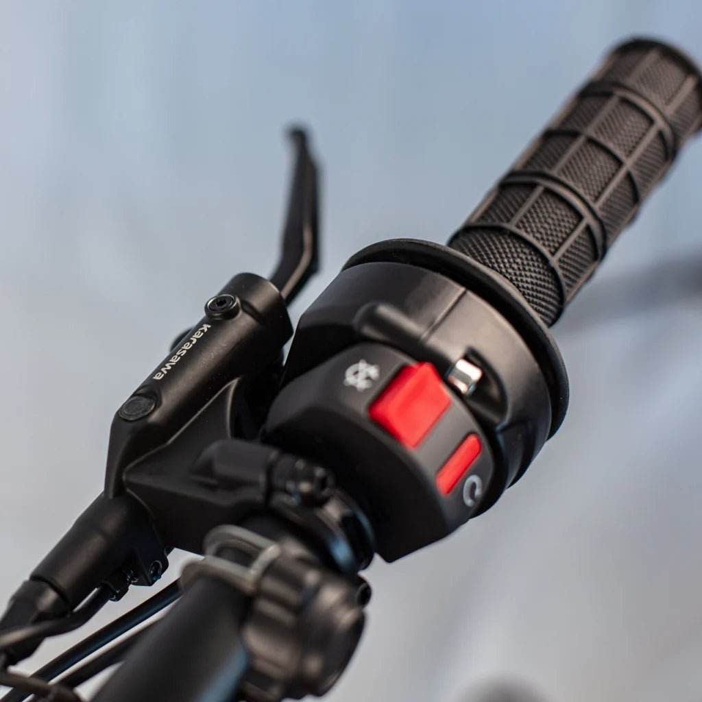 RAWRR MANTIS MINI R & R17 | 72V High Powered | Best Electric Mini Bike ...