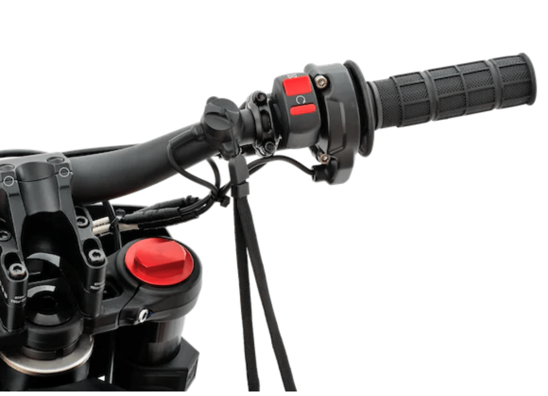 RAWRR MANTIS MINI R & R17 | 72V High Powered | Best Electric Mini Bike ...