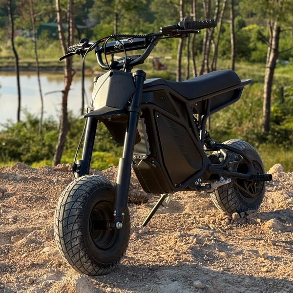 Electro & Co The Rizzler | High Power Stunt Bike | 60V 50MPH – Emoto ...